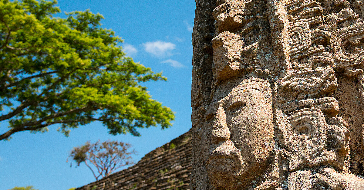 Mexican President López Obrador shares photos of purported Mayan elf from folklore | ADN América