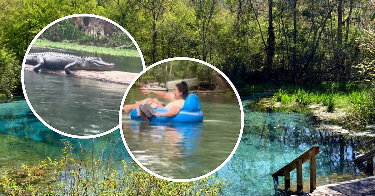 VIDEO: Women encounter huge alligator while floating on Florida river ...