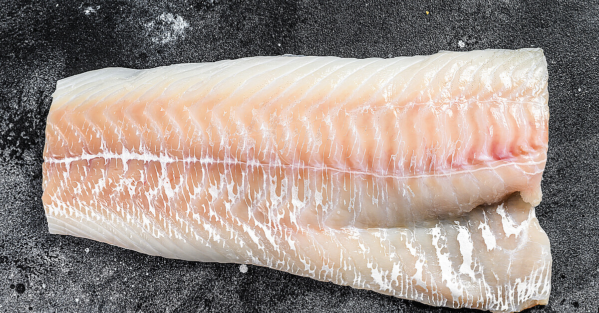 Fabrican el primer filete de pescado impreso con tecnología 3D | ADN ...