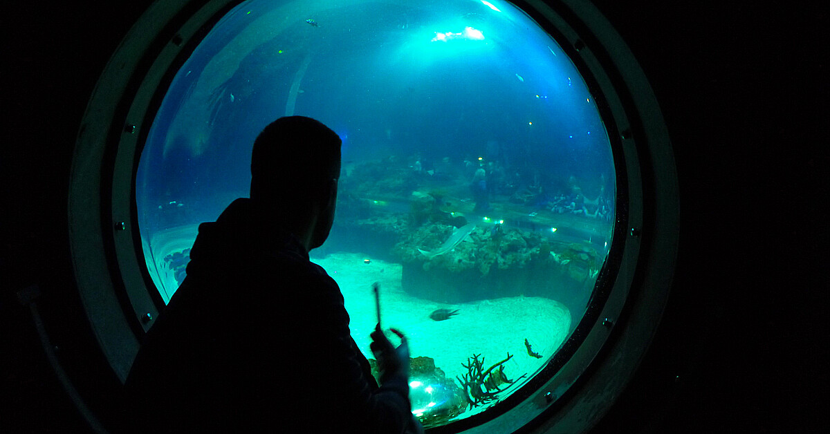 Florida Navy veteran breaks record living underwater 74 days | ADN América