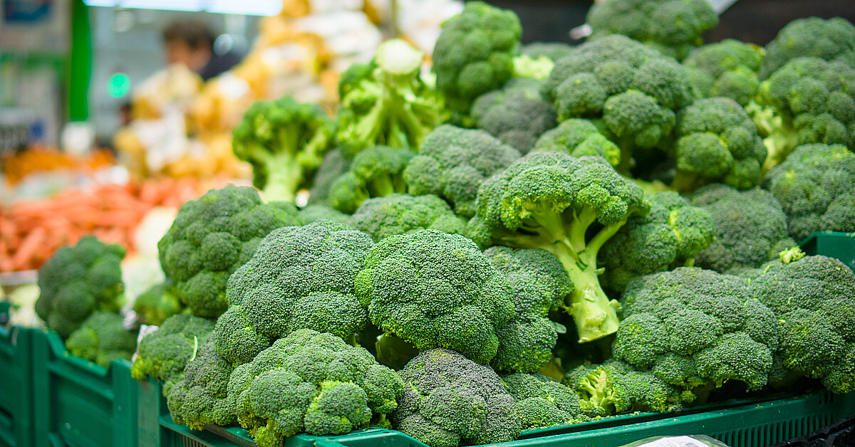 Grandfather finds live snake inside bag of broccoli from supermarket ...