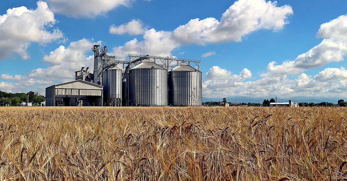 Grain silo explosion in Brazil leaves 8 dead, 11 injured | ADN América