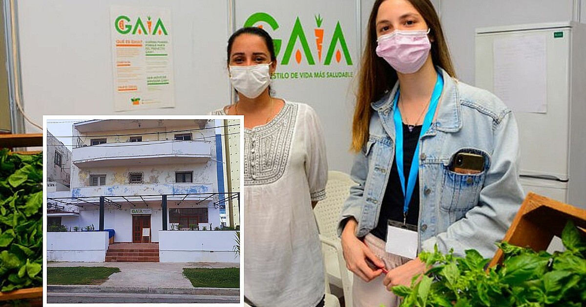 Así es la Mipyme de Lisa Titolo Castro, hija de Mariela Castro | ADN ...