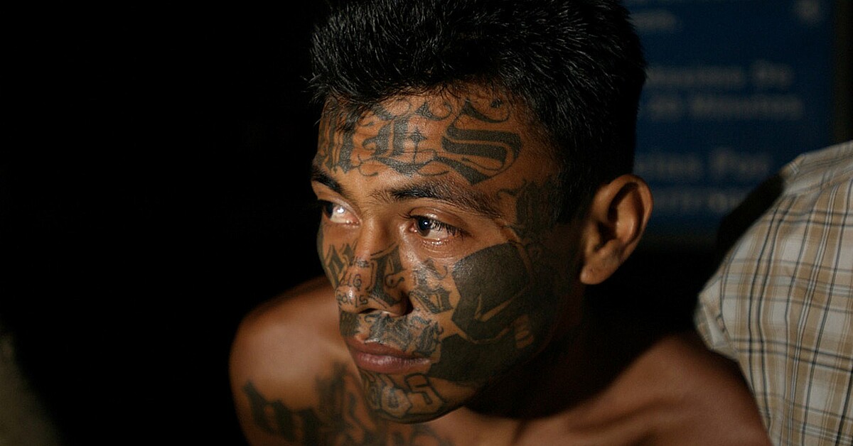 Authorities arrest top MS-13 gang member in Virginia | ADN América