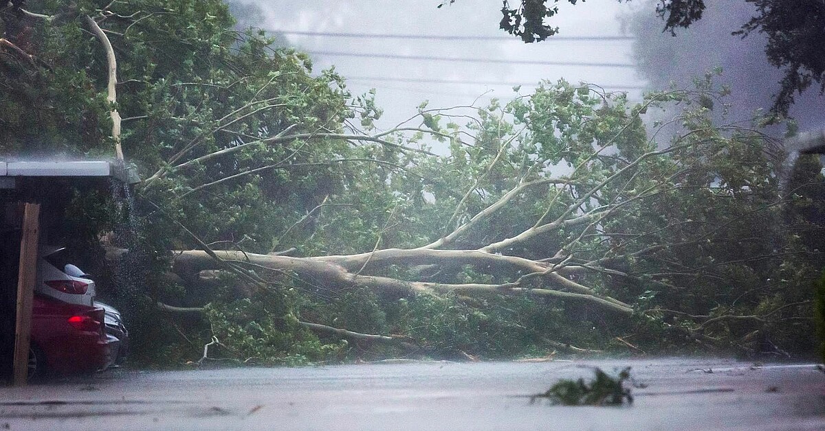 FOTOS: Así quedó Houston, Texas, tras el paso del huracán Beryl | ADN ...